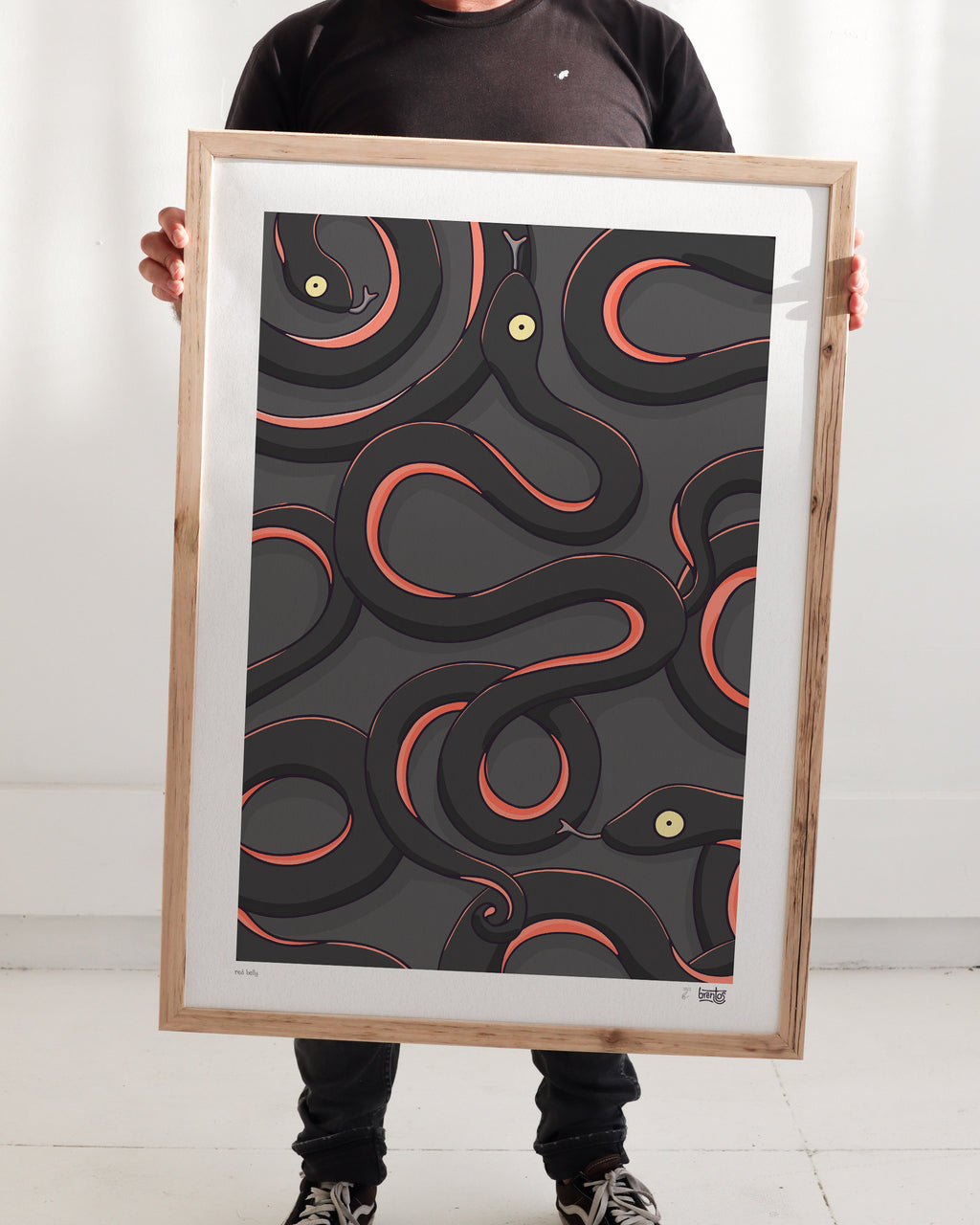 Red Belly Black Snakes Art Print - Brentos